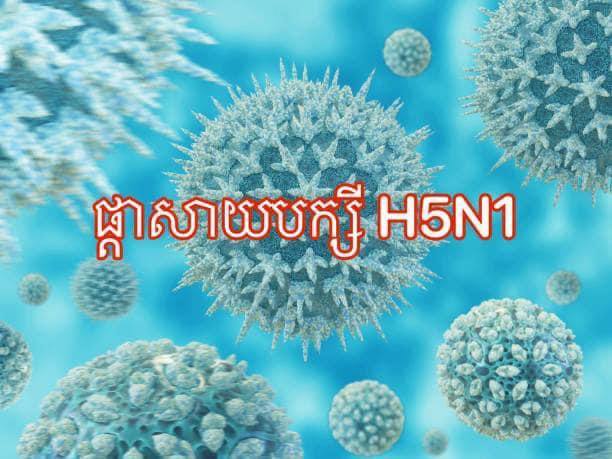 កុមារីអាយុ១១ឆ្នាំនៅខេត្តព្រៃវែង ស្លាប់ដោយសារឆ្លងជំងឺផ្ដាយបក្សី H5N1 ...